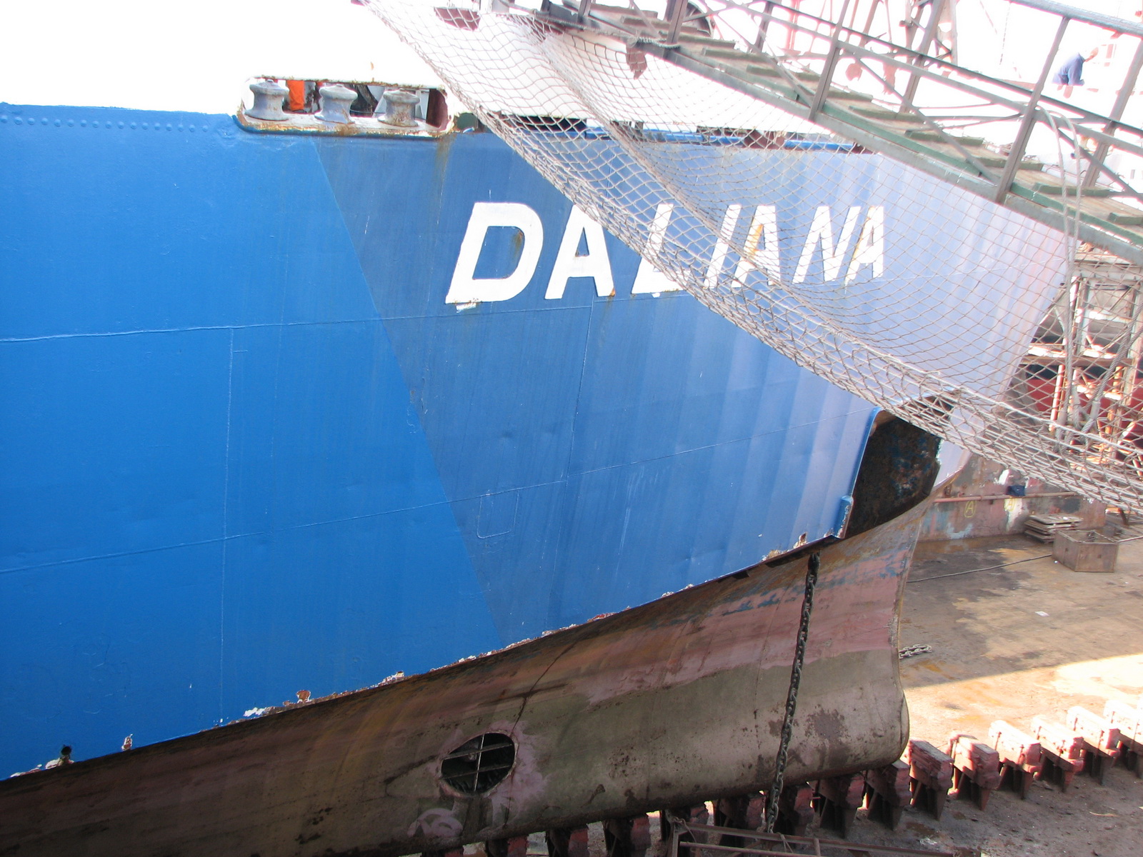 Daliana - Daliana - Shipfriends