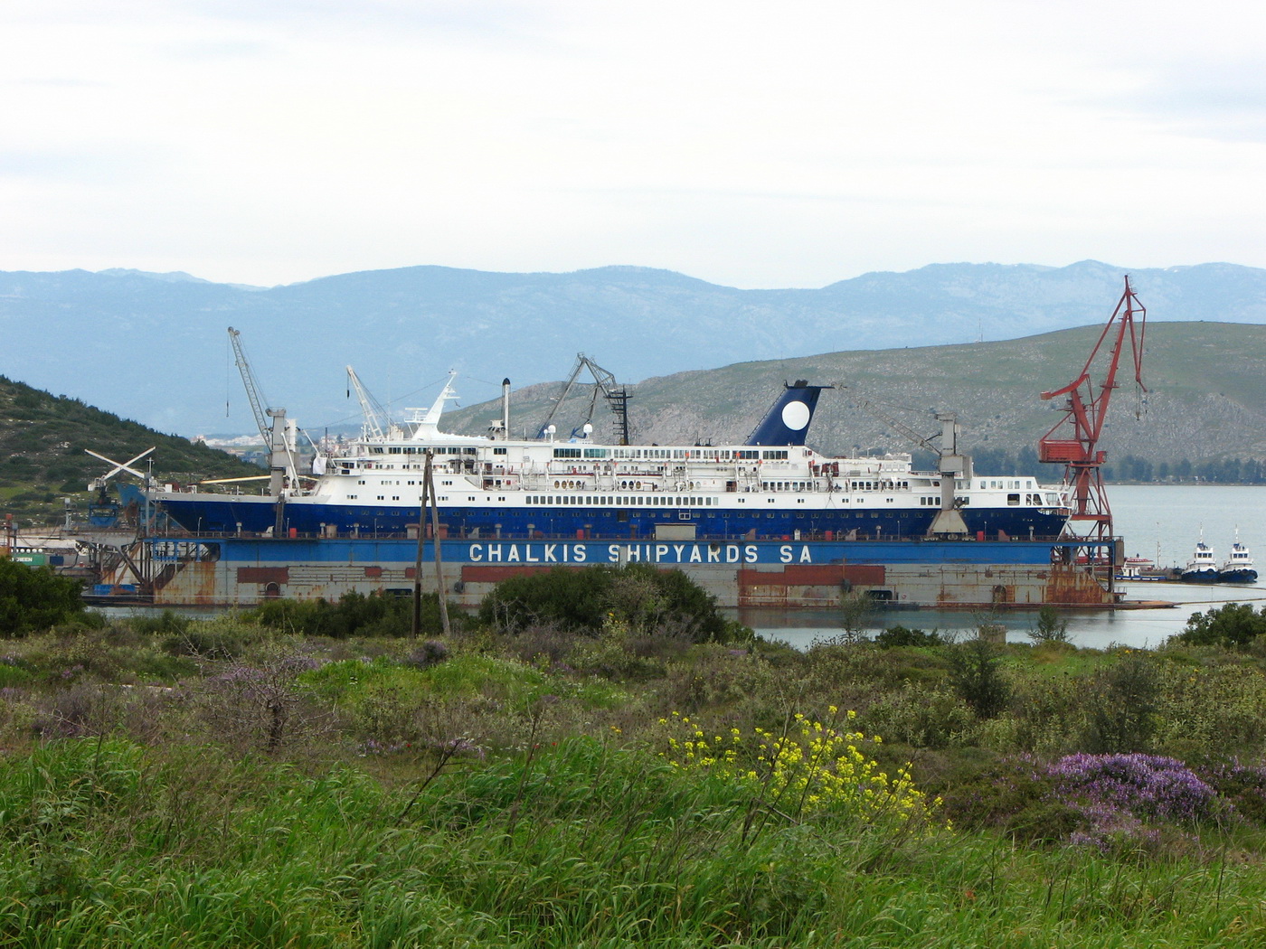 Ocean Countess - Olympia Countess - Shipfriends