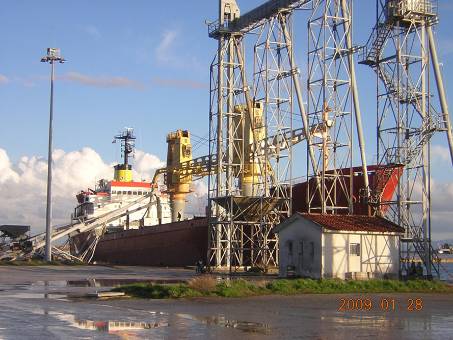 VASSI - Faola - Shipfriends