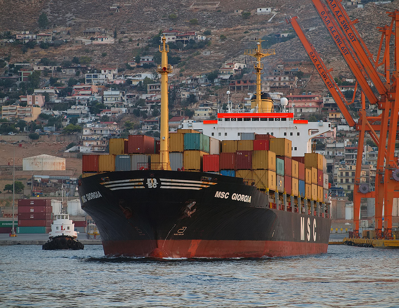 MSC Giorgia - MSC Giorgia - Shipfriends