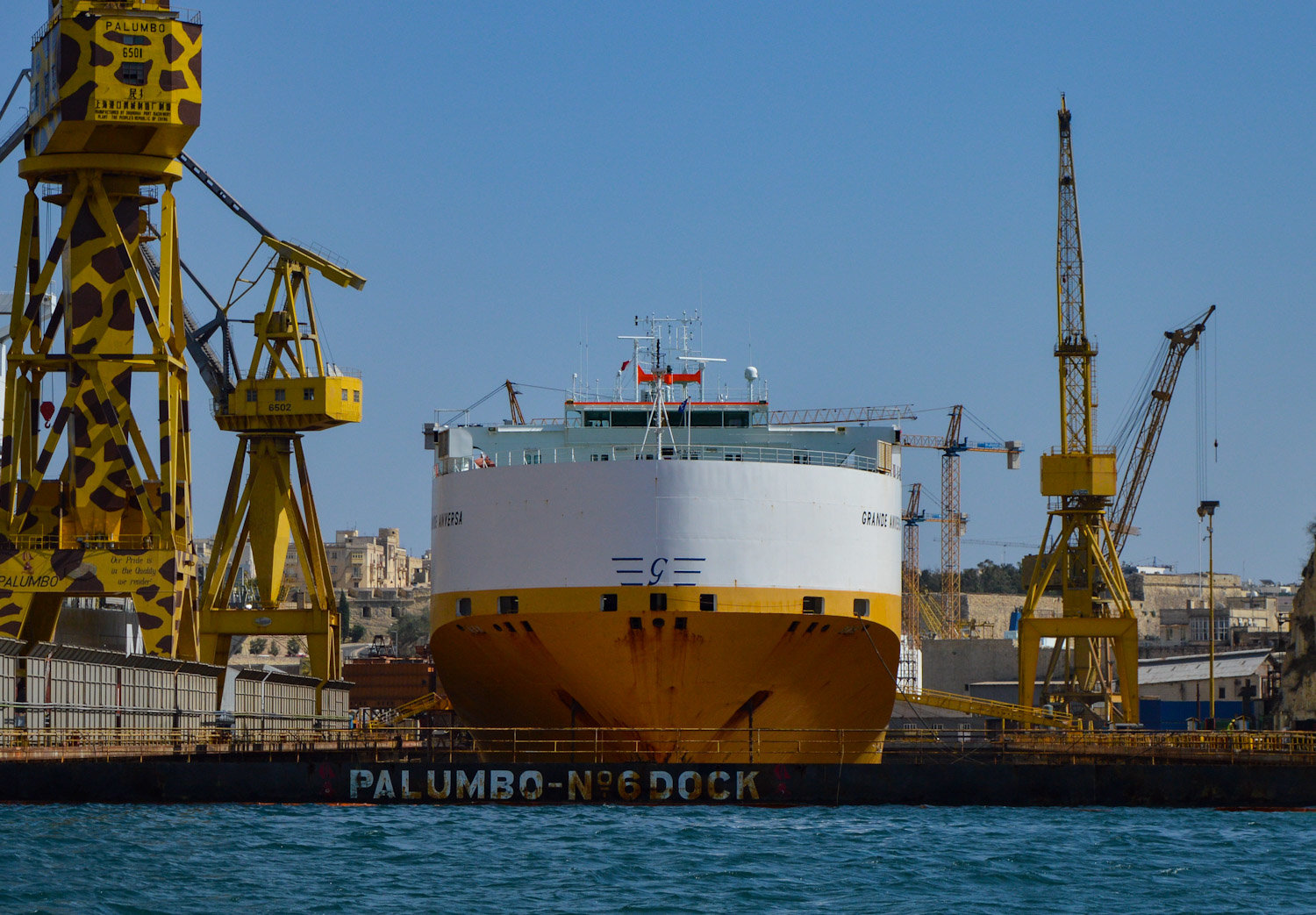 Grande Anversa - Grande Anversa - Shipfriends