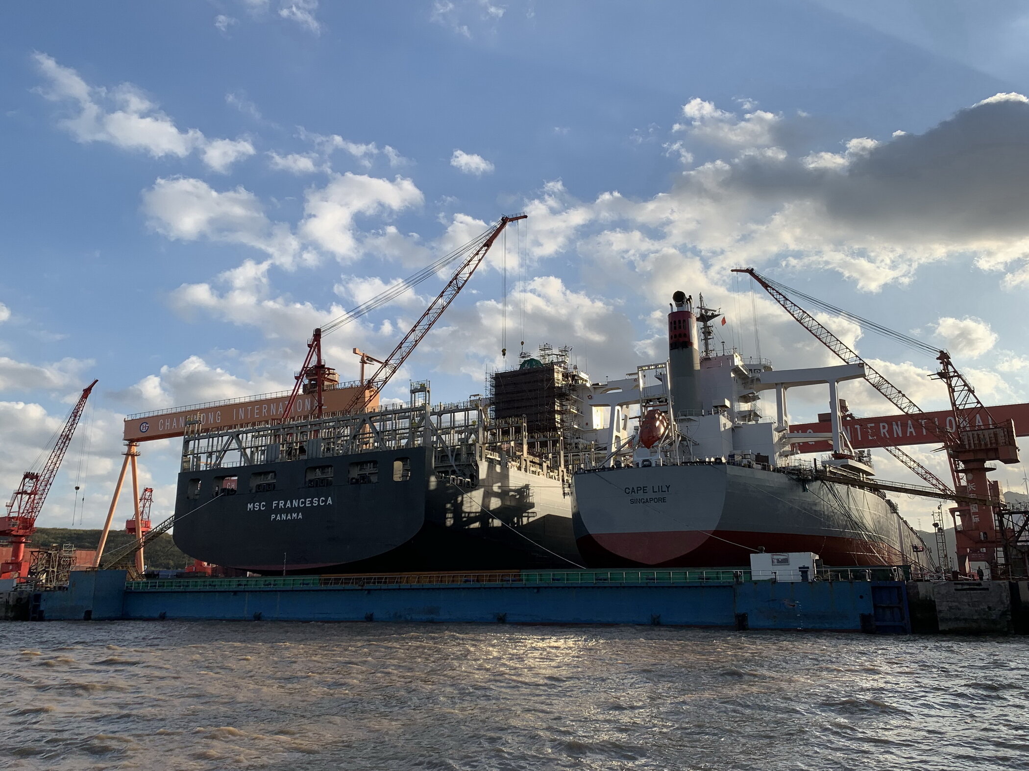 MSC Francesca_Cape Lily_08-11-19_Zhoushan - Ναυπηγεία Κίνας - Shipfriends