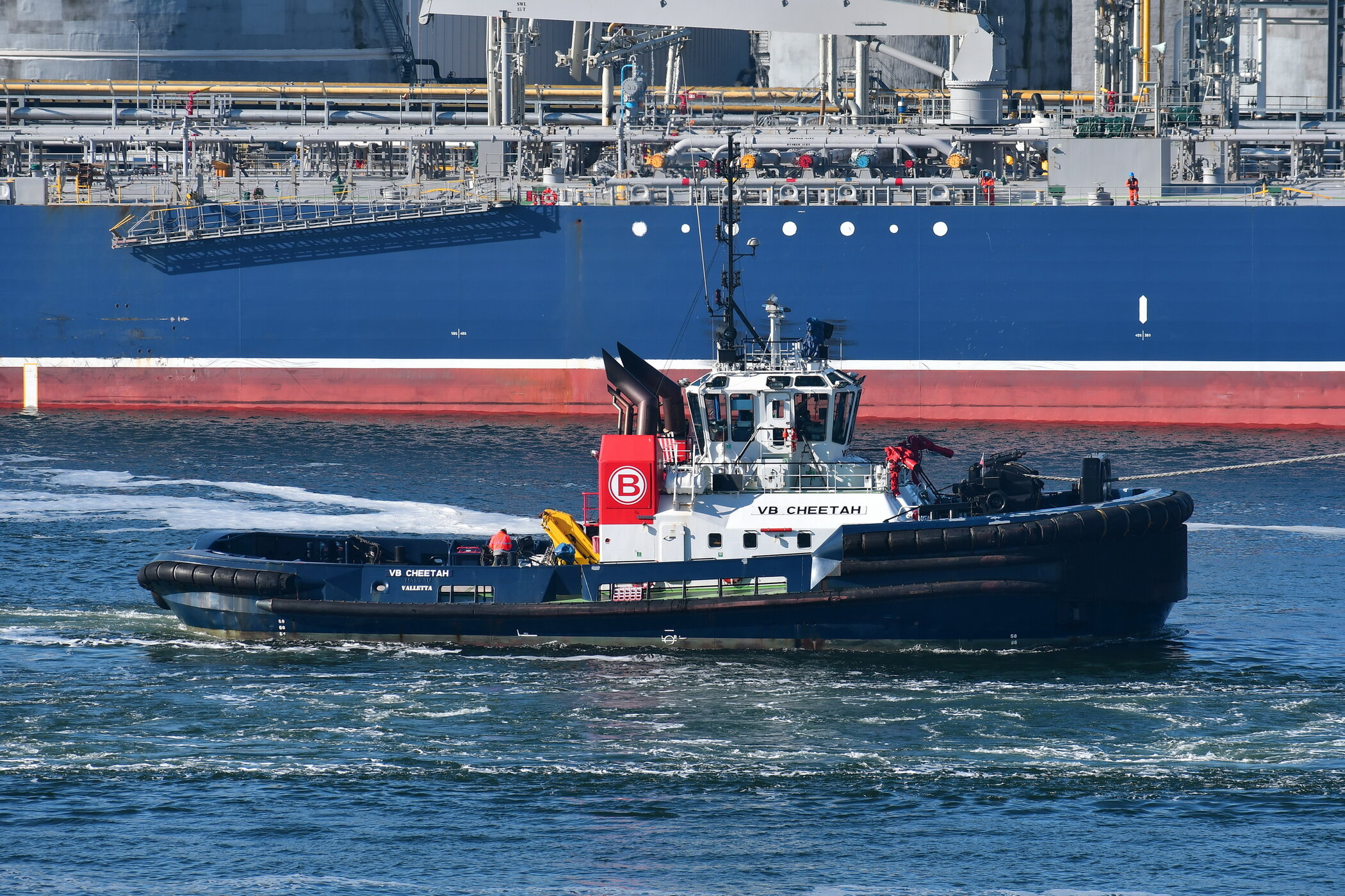 VB Cheetah_17-04-22_Rotterdam - VB Cheetah - Shipfriends VB Cheetah_17-04-22_Rotterdam - VB Cheetah - Shipfriends
