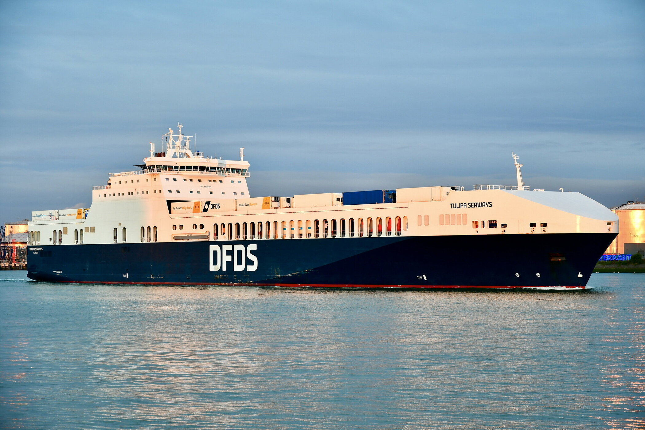 Tulipa Seaways_29-06-23_Rotterdam - Tulipa Seaways - Shipfriends