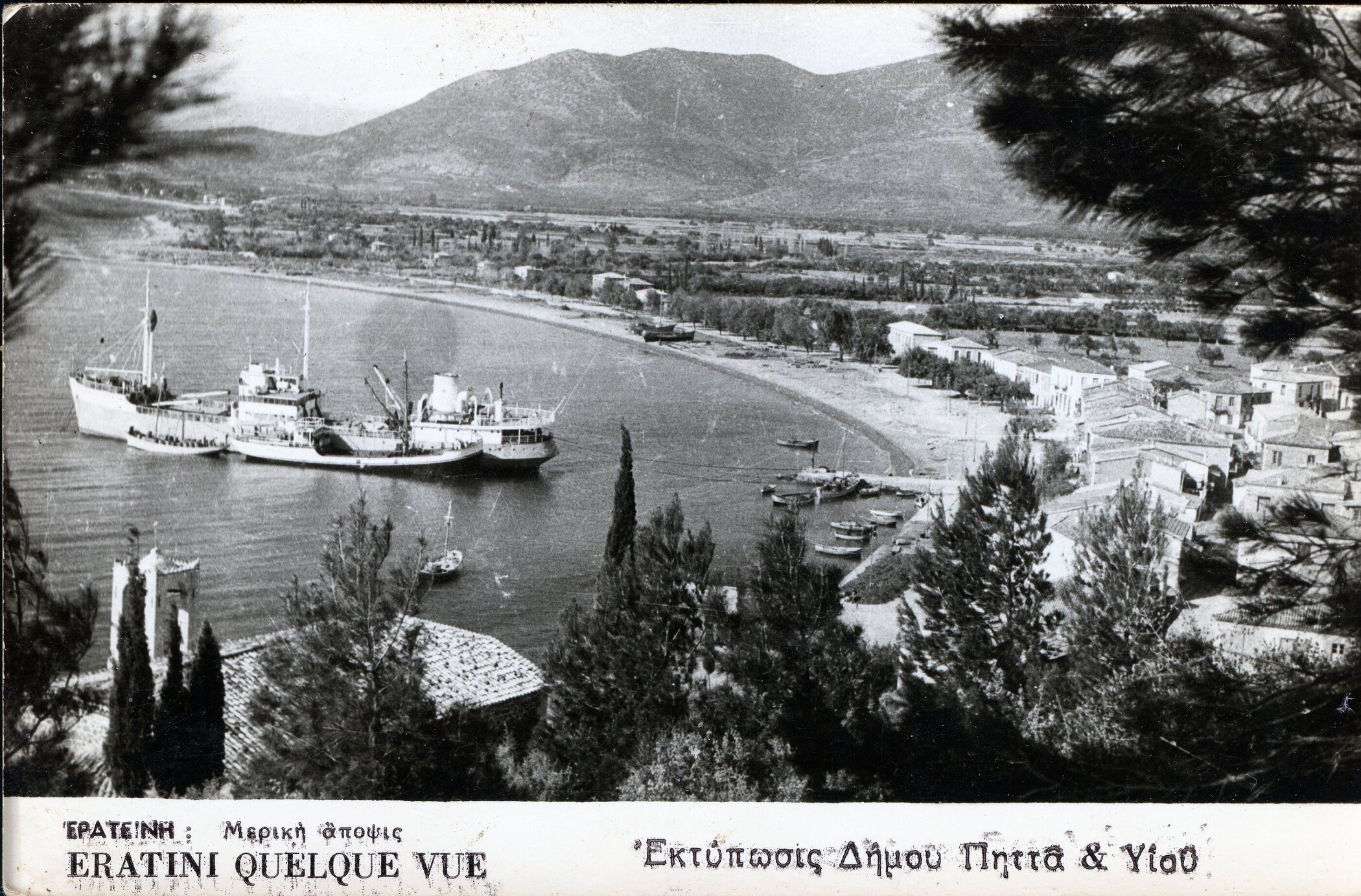 Assimina - Assimina - Shipfriends